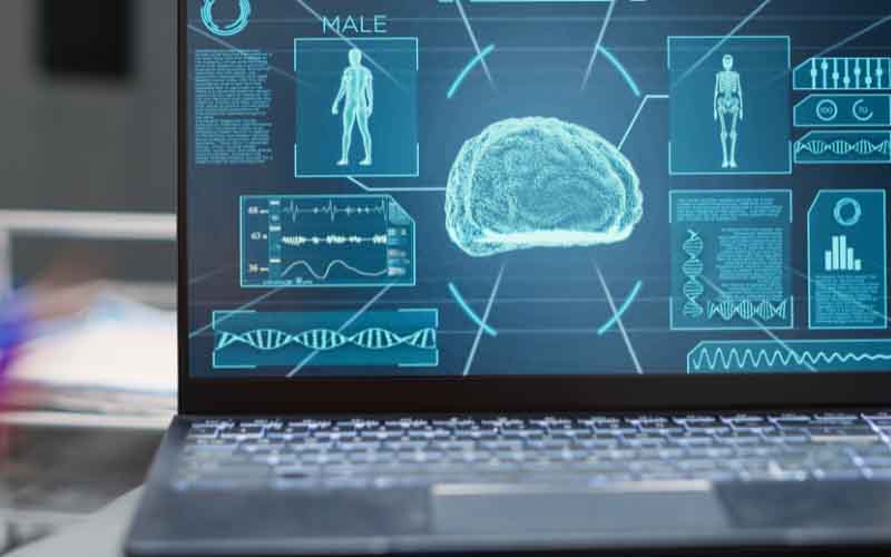 Comprehensive AI Data Services - Dr.Localize